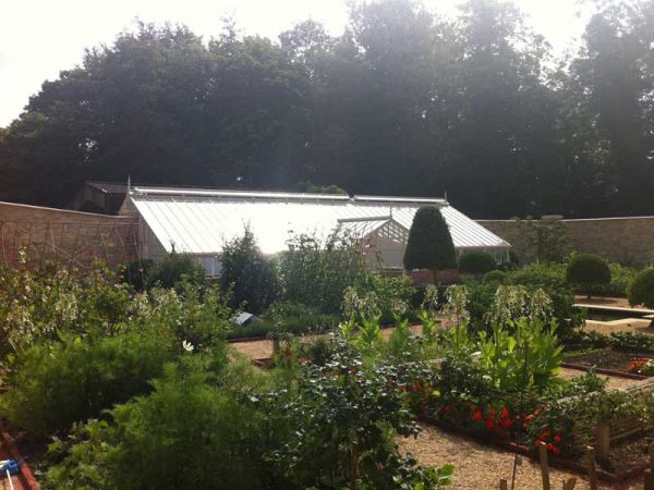 Our Glasshouses - Foster & Pearson Glasshouses