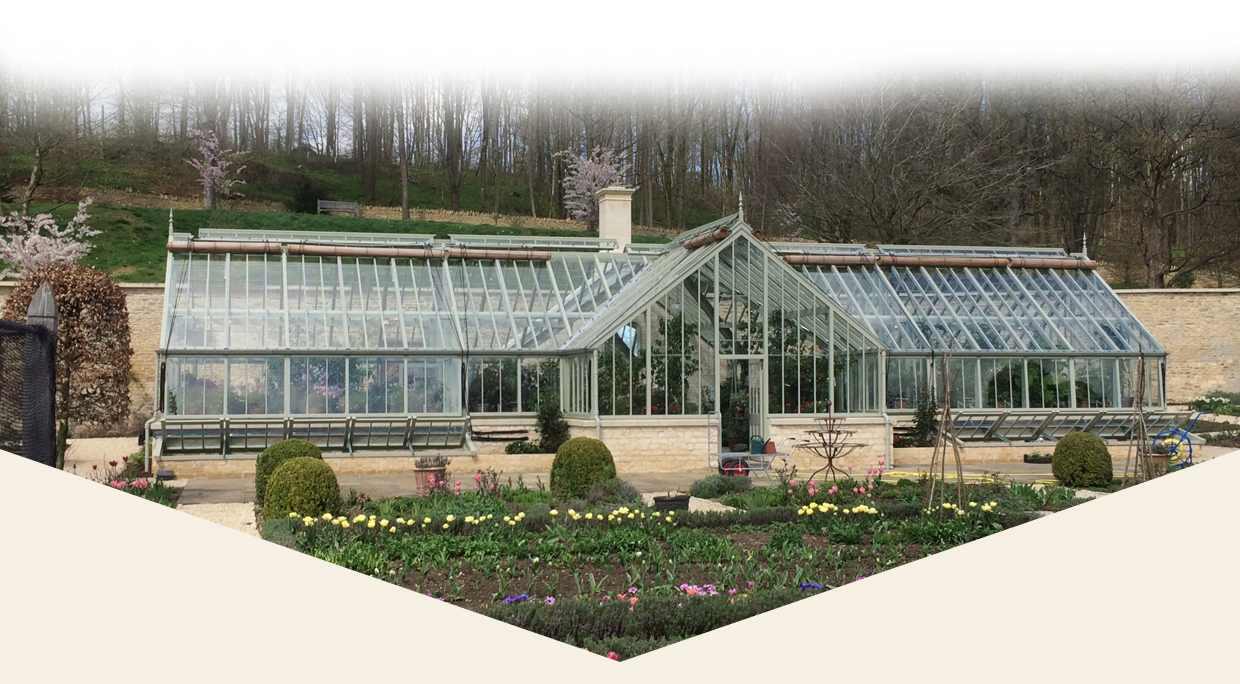 Home - Foster & Pearson Glasshouses
