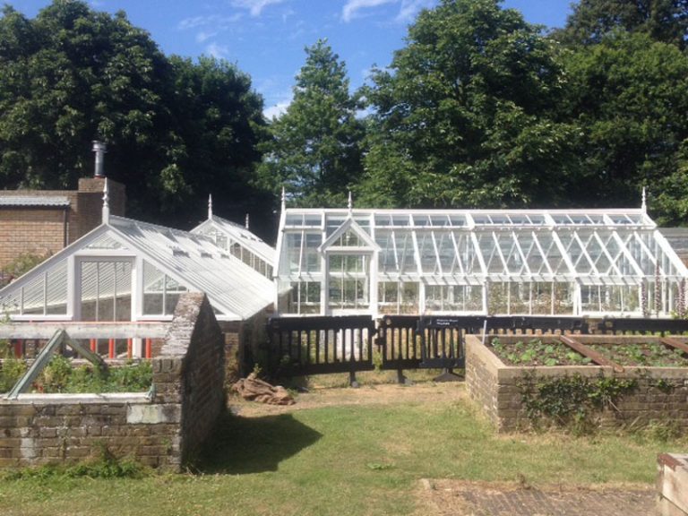 Gallery | Foster & Pearson Glasshouses